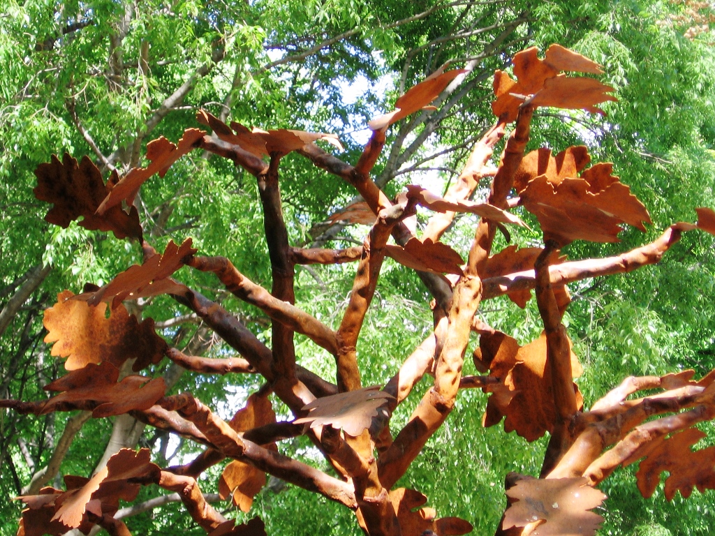 The source of the Constitution of Pax – Semiosis